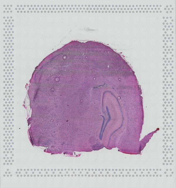 DeepSpaceDB: DSID000005