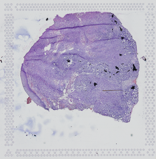 DeepSpaceDB: DSID000261