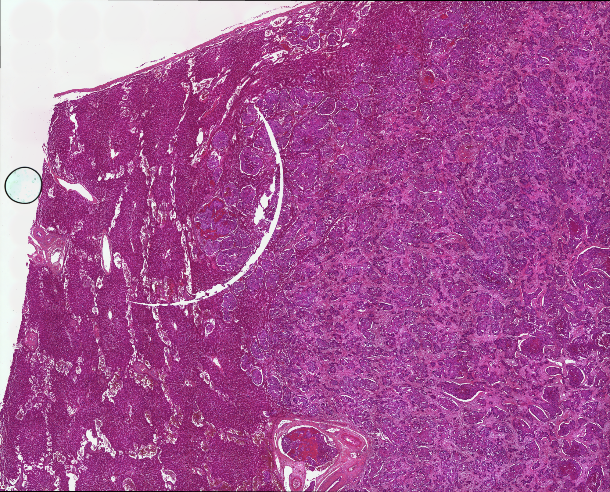 DeepSpaceDB: DSID001370